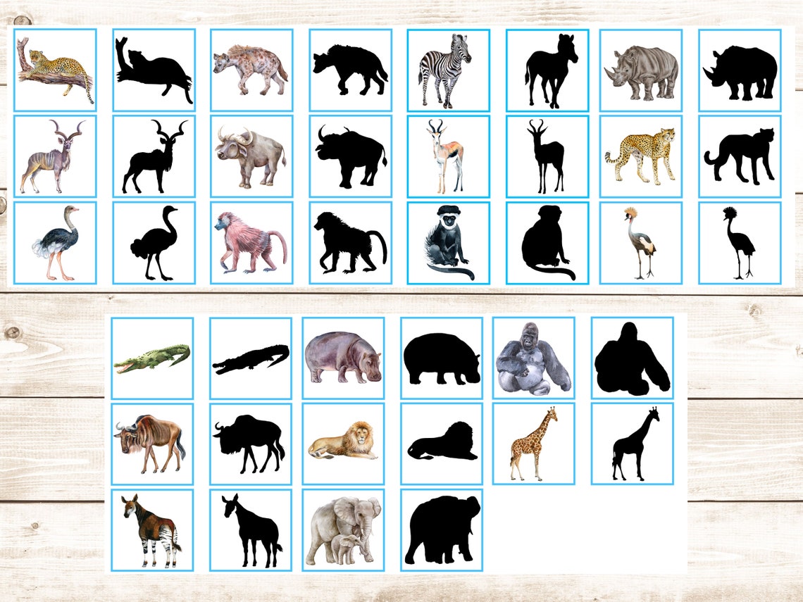 Africa Animals Montessori Shadow Cards Printable. Toddler Shadow ...