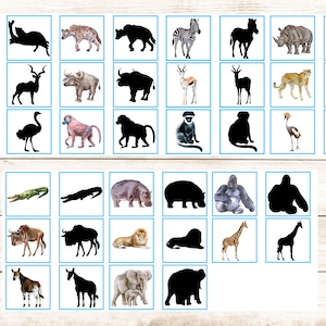 Africa Animals Montessori Shadow Cards Printable. Toddler Shadow ...