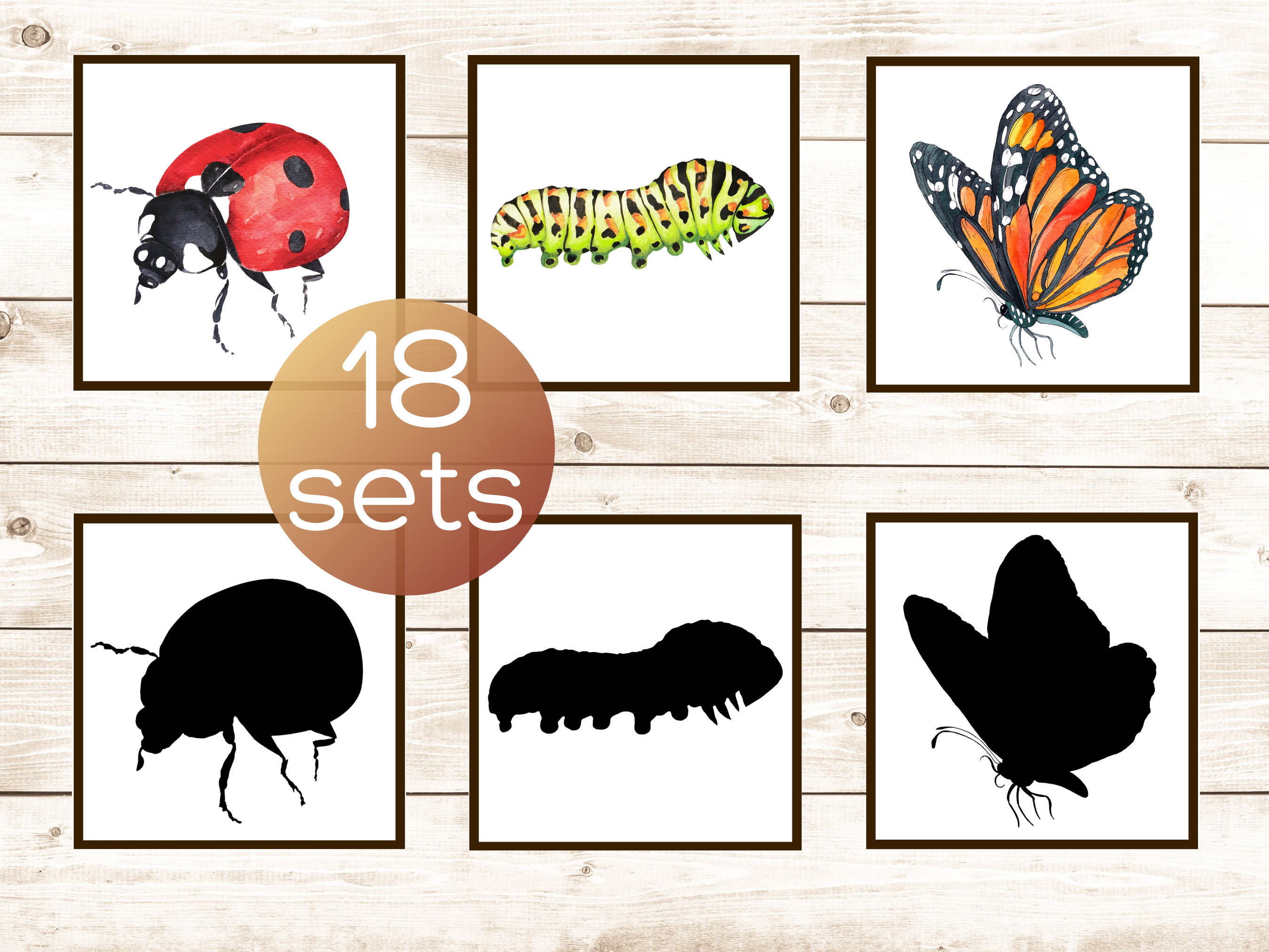 Insects Bugs Shadow Matching Cards. Montessori Toddler Printable ...