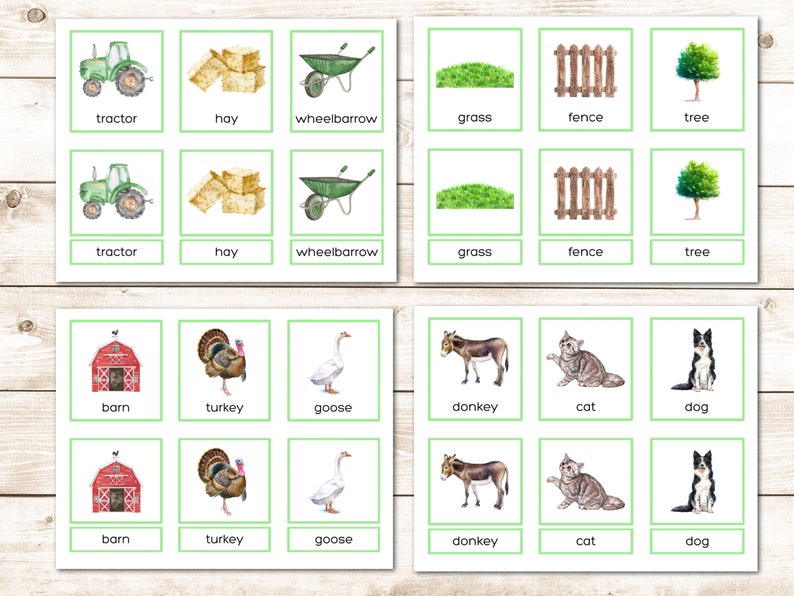 Farm Animals Montessori Printable Vocabulary 3 Part Cards. Nomenclature ...