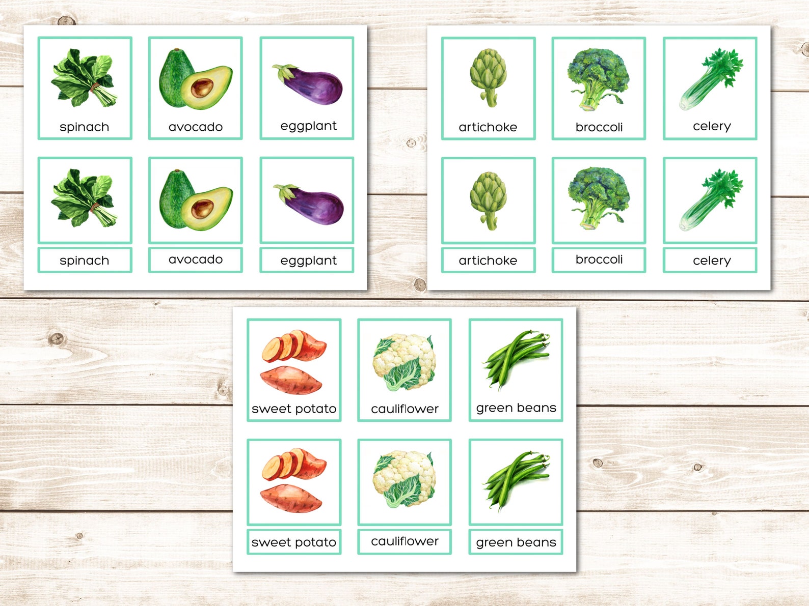Vegetables Montessori Printable Vocabulary 3 Part Cards. Nomenclature ...