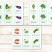 Vegetables Montessori Printable Vocabulary 3 Part Cards. Nomenclature ...