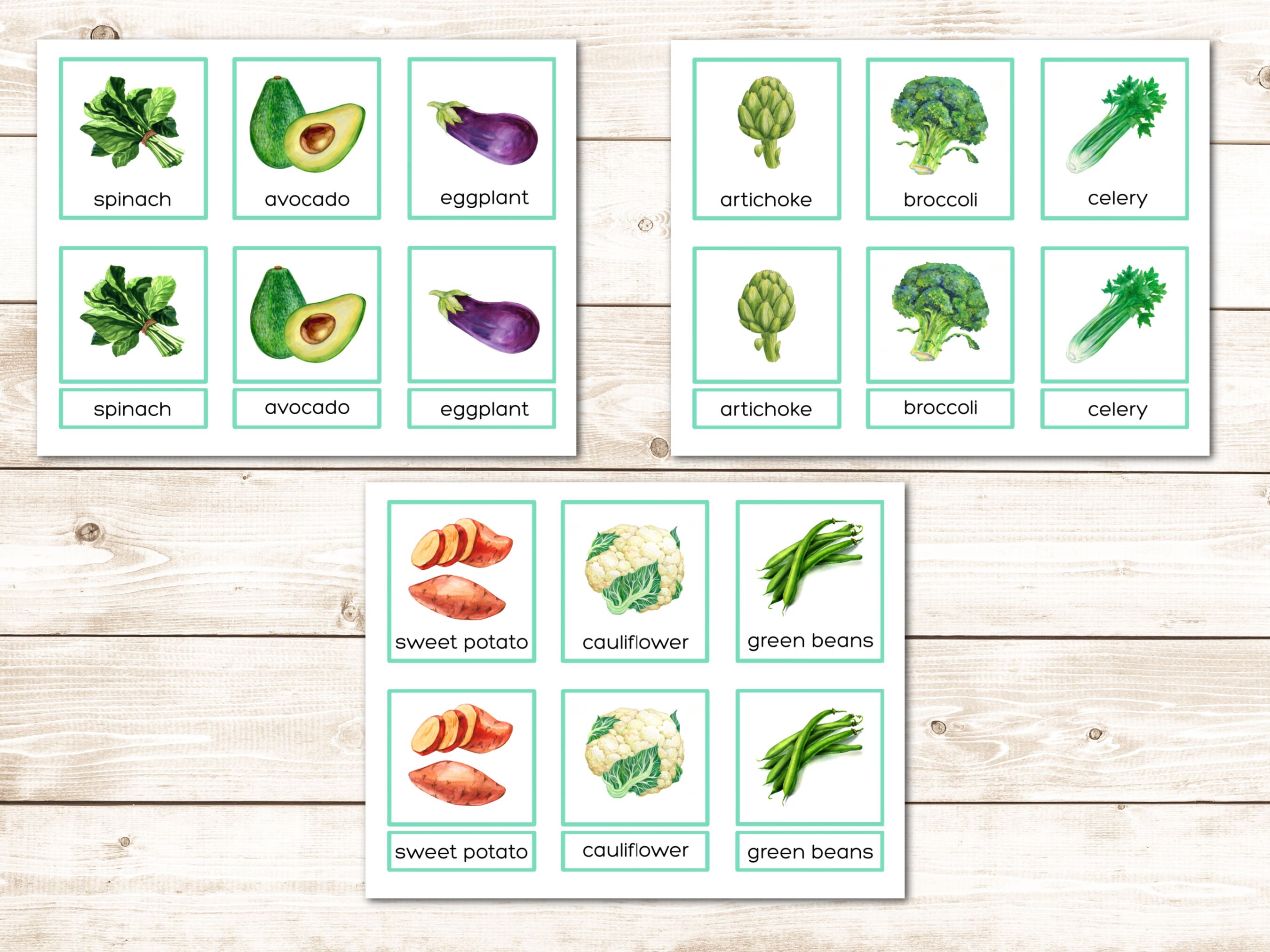 Vegetables Montessori Printable Vocabulary 3 Part Cards. Nomenclature ...