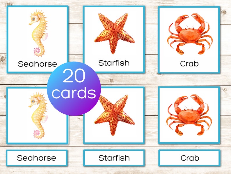 Ocean Animals Montessori Printable Vocabulary 3 Part Cards Nomenclature ...