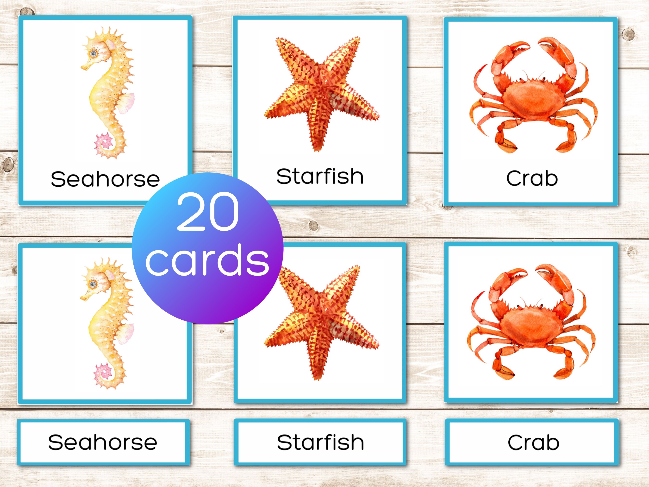 Ocean Animals Montessori Printable Vocabulary 3 Part Cards Nomenclature ...