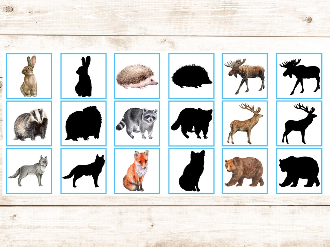 Woodland Animals Shadow Matching Cards. Montessori Toddler Printable ...