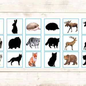 Woodland Animals Shadow Matching Cards. Montessori Toddler Printable ...