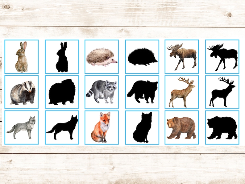 Woodland Animals Shadow Matching Cards. Montessori Toddler Printable ...