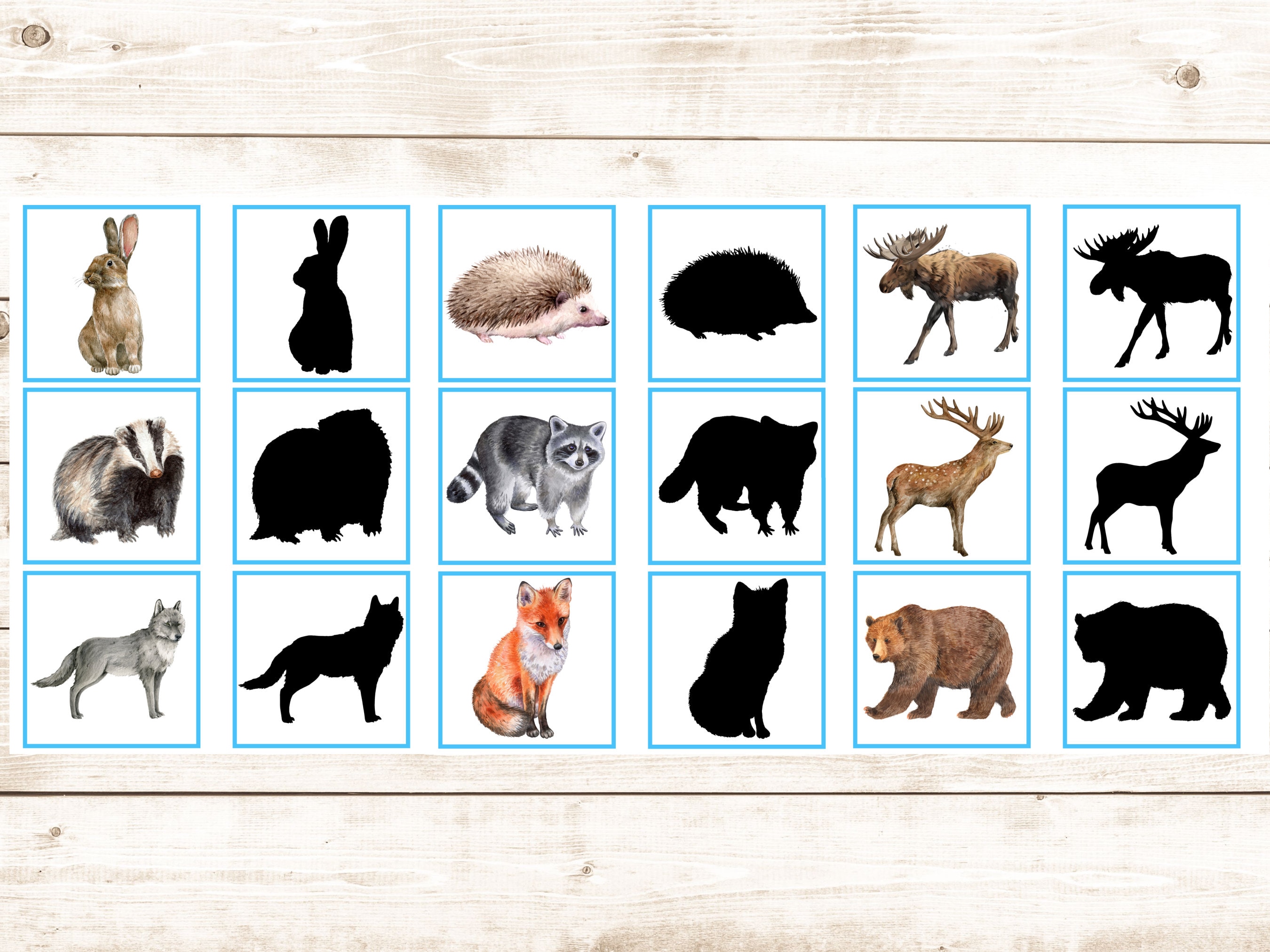 Woodland Animals Shadow Matching Cards. Montessori Toddler Printable ...