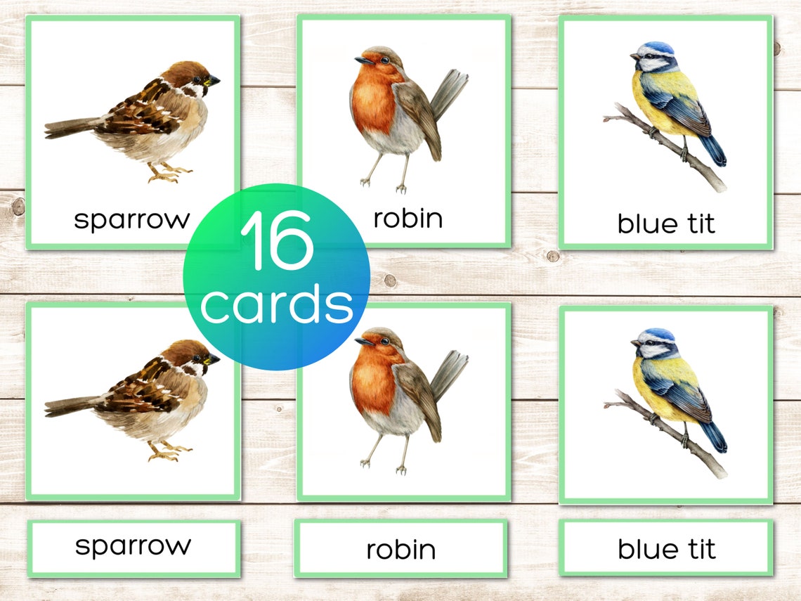 Birds Montessori Printable Vocabulary 3 Part Cards. Nomenclature Cards ...