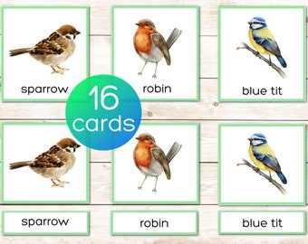 Realistic Montessori Bird Flashcards for Toddlers and - Etsy