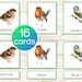 Food Groceries Montessori Printable Vocabulary 3 Part Cards ...