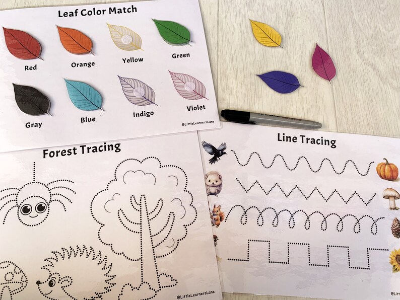 Fall Preschool Busy Book Printable. Autumn Preschool Learning Binder ...