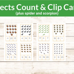 Insects Bugs Clip & Count Cards. Insects Bugs Unit Study. Preschool and ...