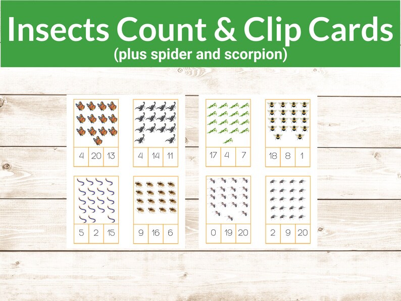 Insects Bugs Clip & Count Cards. Insects Bugs Unit Study. Preschool and ...