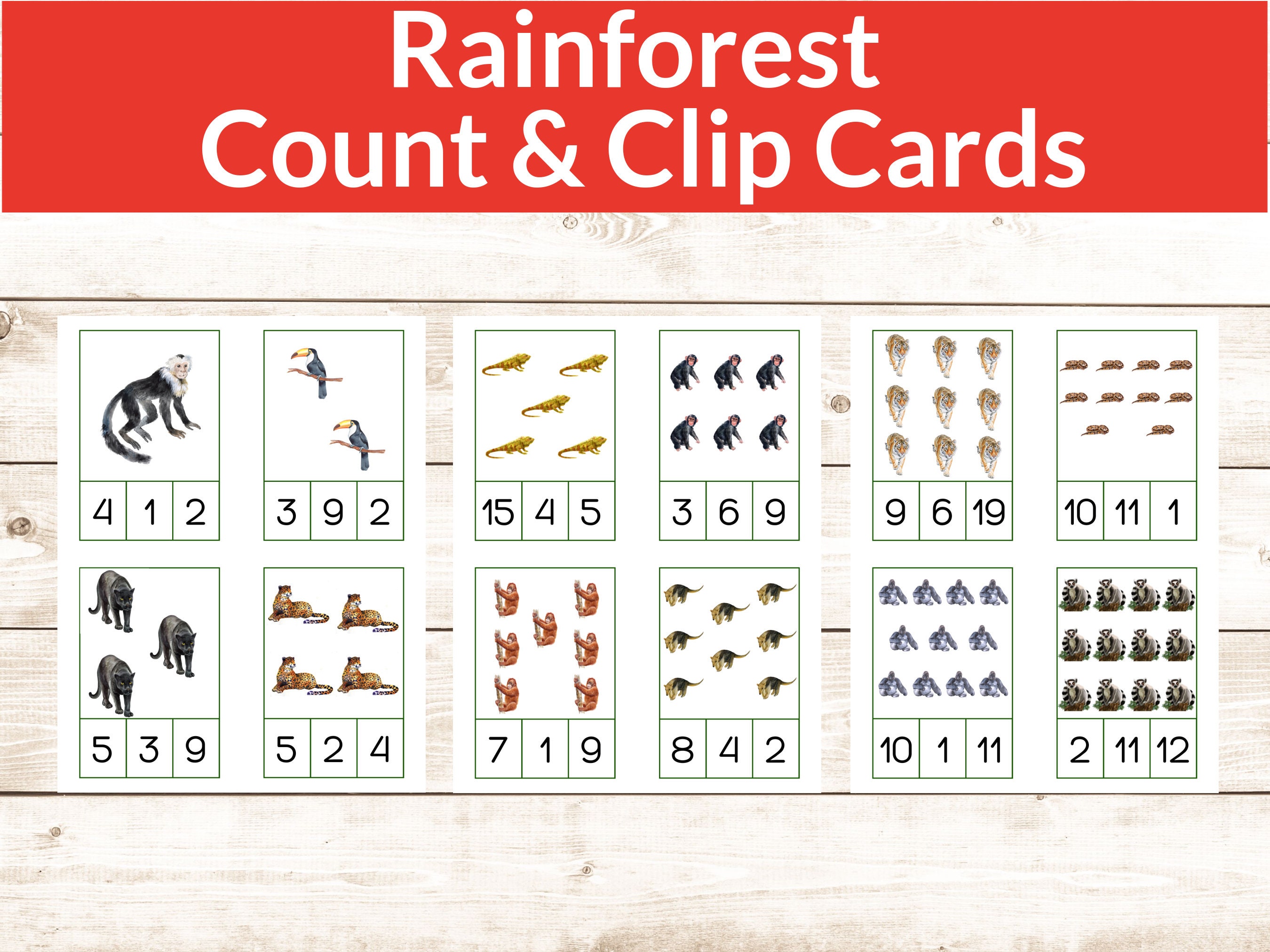 Rainforest Montessori Count & Clip Cards. Preschool and Kindergarten ...