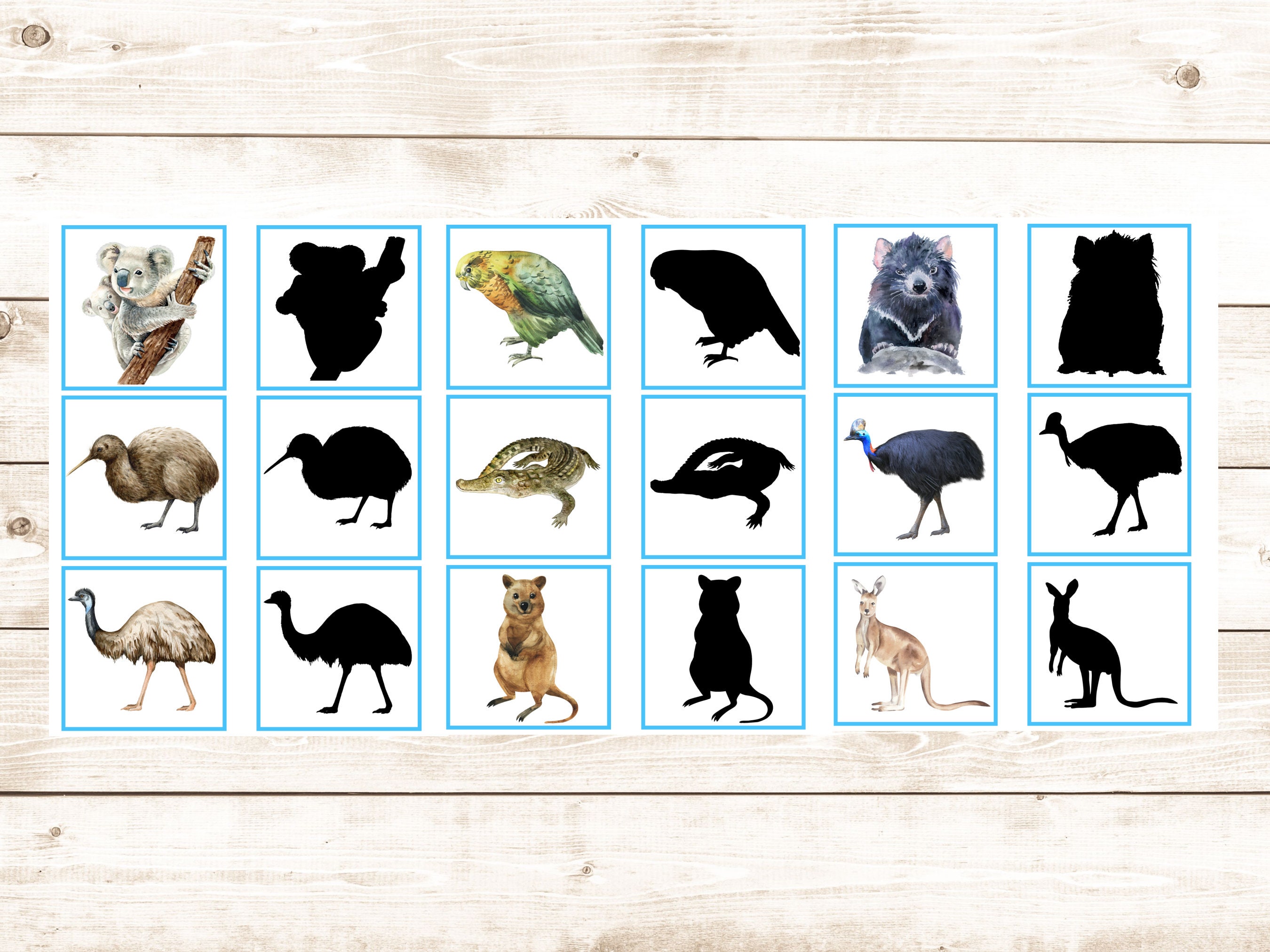 Australia Animals Shadow Matching Cards. Montessori Toddler Printable ...