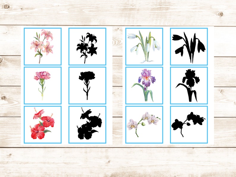 Flowers Shadow Matching Cards. Montessori Toddler Printable. Preschool ...