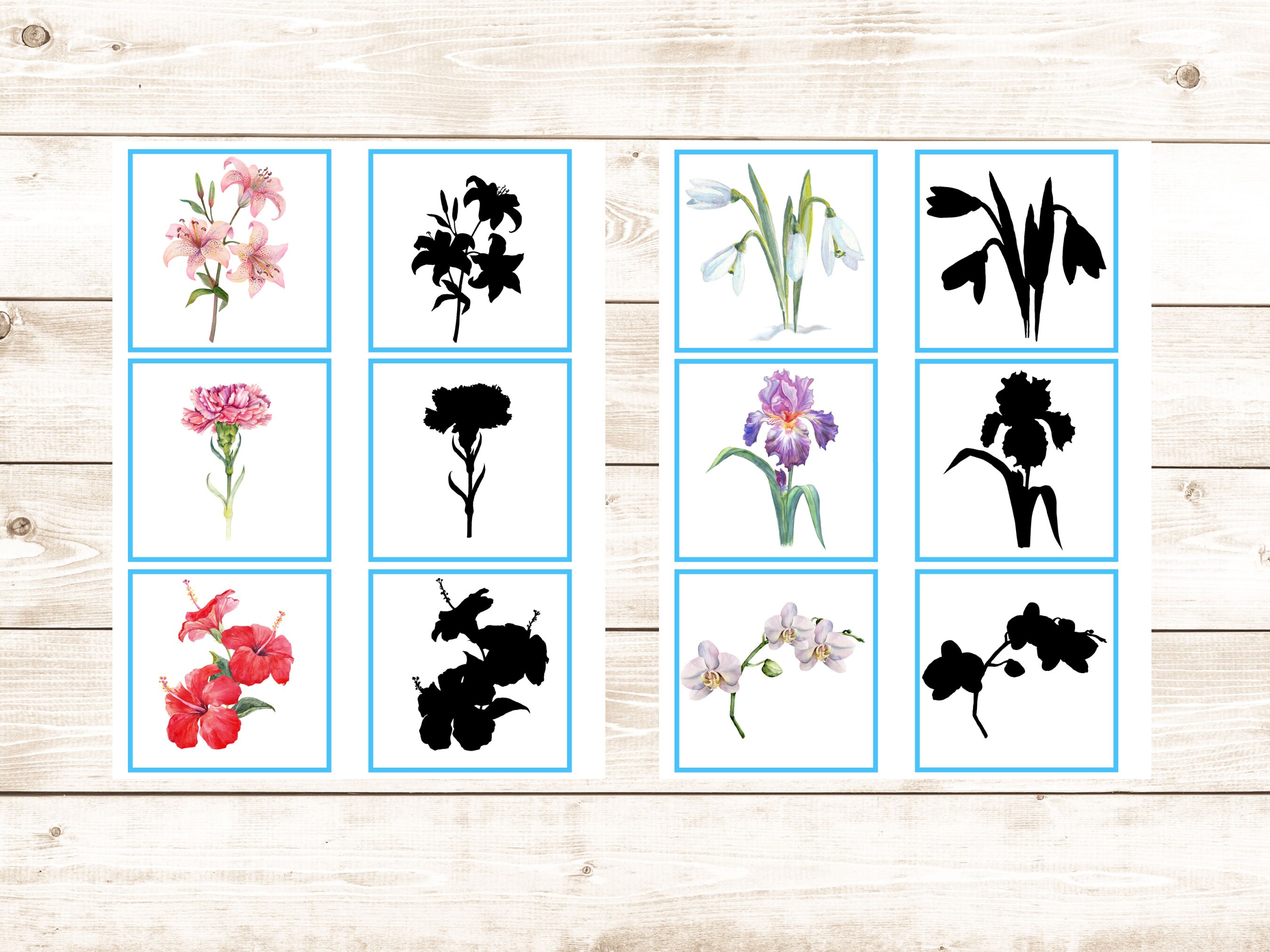 Flowers Shadow Matching Cards. Montessori Toddler Printable. Preschool ...