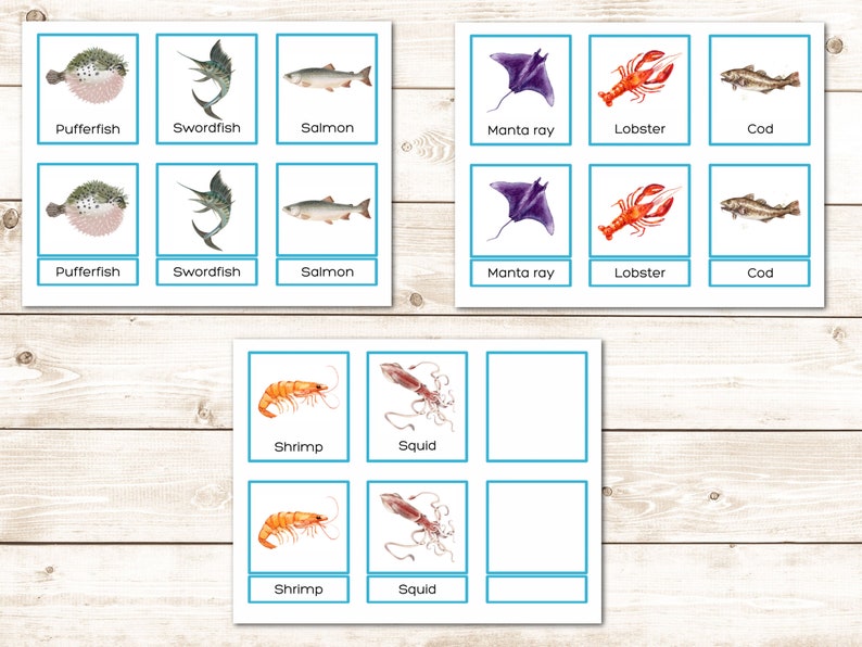 Ocean Animals Montessori Printable Vocabulary 3 Part Cards Nomenclature ...