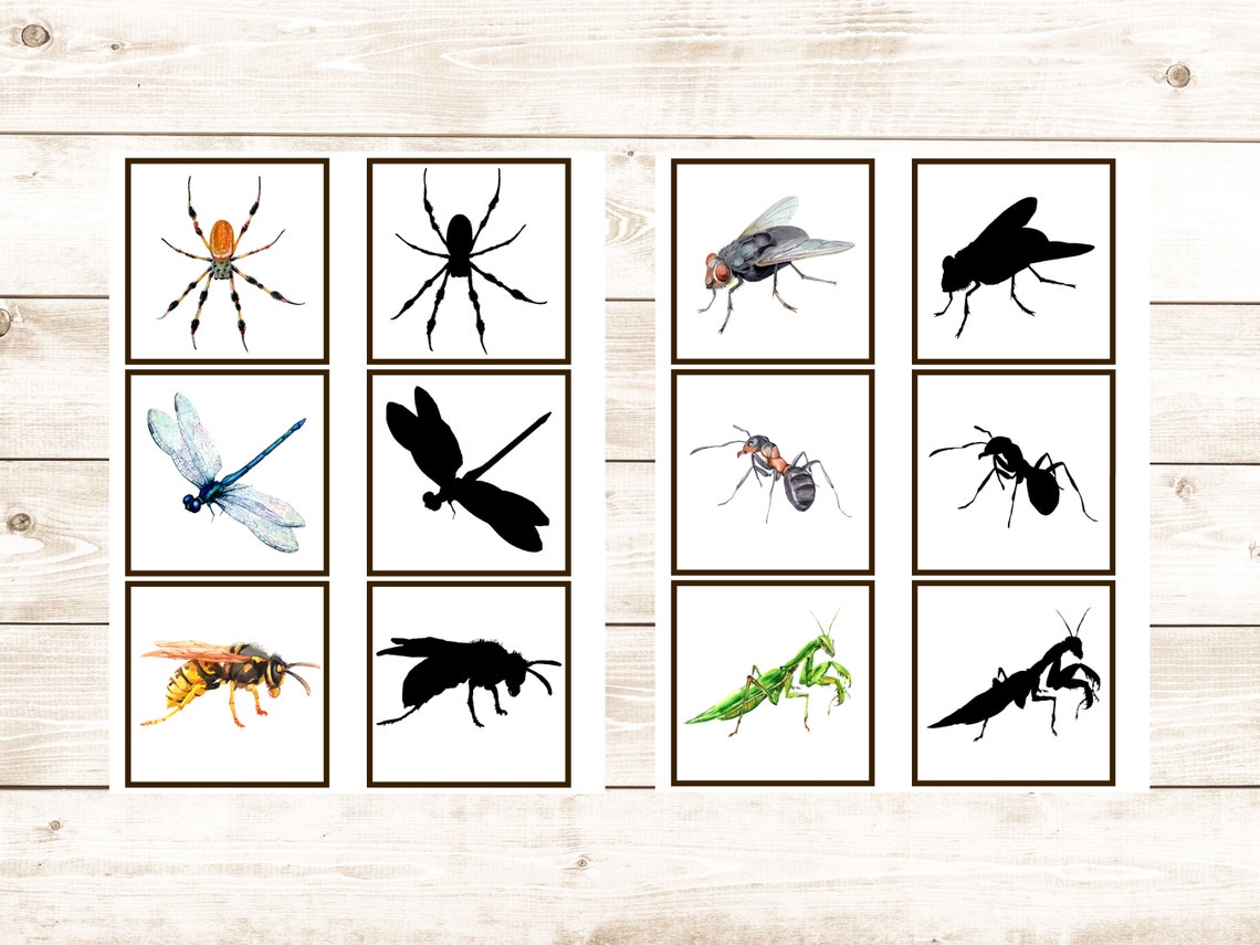 Insects Bugs Shadow Matching Cards. Montessori Toddler Printable ...