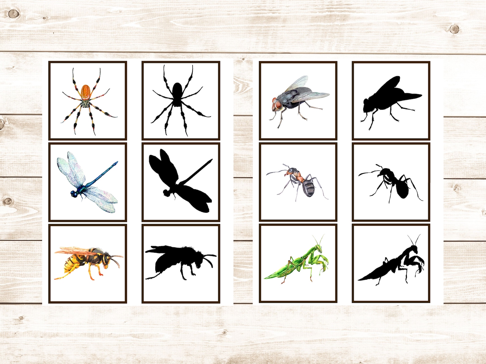 Insects Bugs Shadow Matching Cards. Montessori Toddler Printable ...