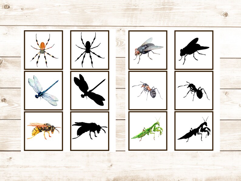 Insects Bugs Shadow Matching Cards. Montessori Toddler Printable ...