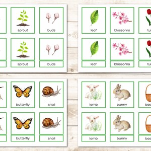 Spring Montessori Printable Vocabulary 3 Part Cards. Nomenclature Cards ...