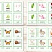 Spring Montessori Printable Vocabulary 3 Part Cards. Nomenclature Cards ...