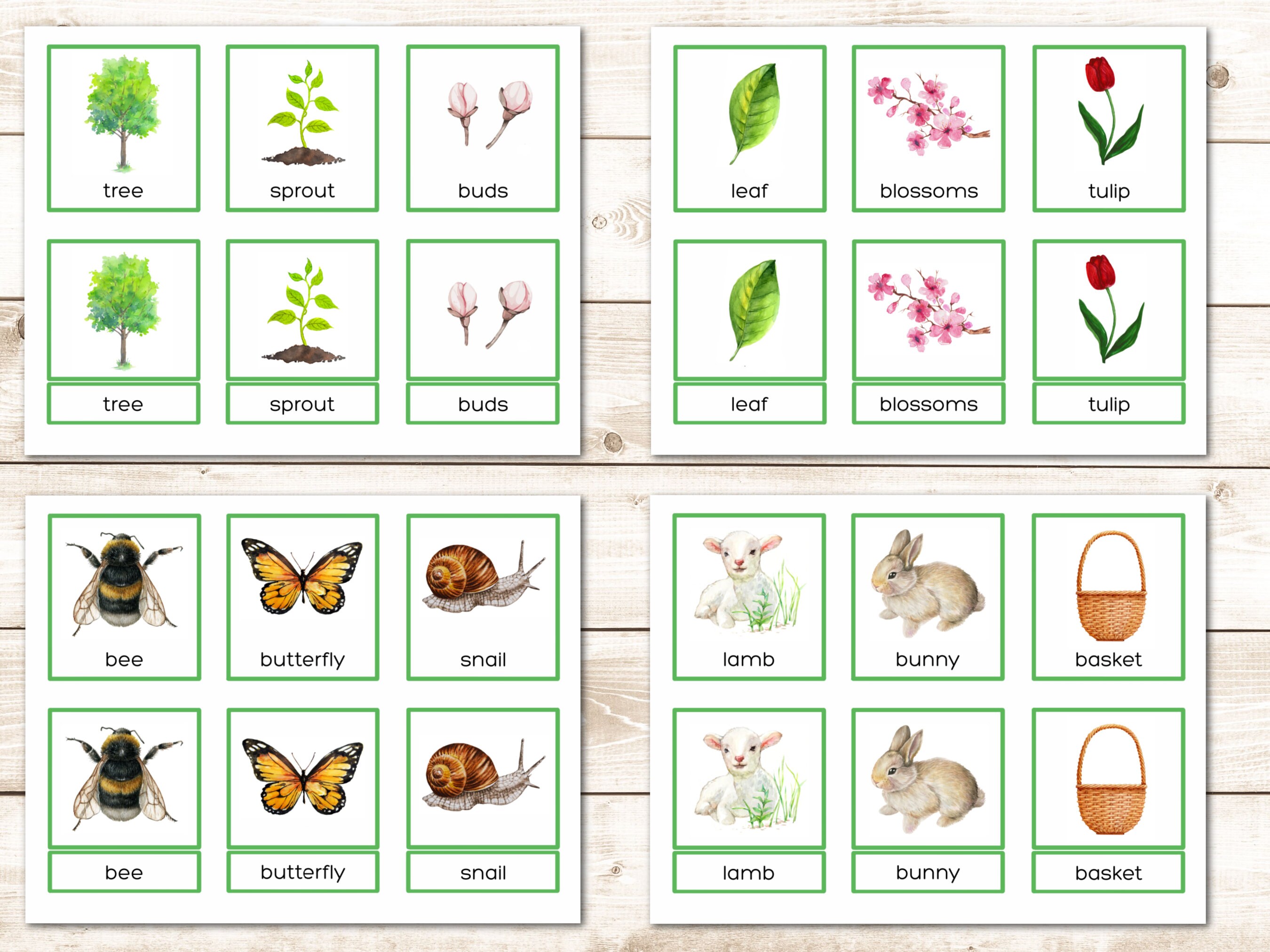 Spring Montessori Printable Vocabulary 3 Part Cards. Nomenclature Cards ...