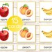 Fruit Montessori Printable Vocabulary 3 Part Cards. Nomenclature Cards ...