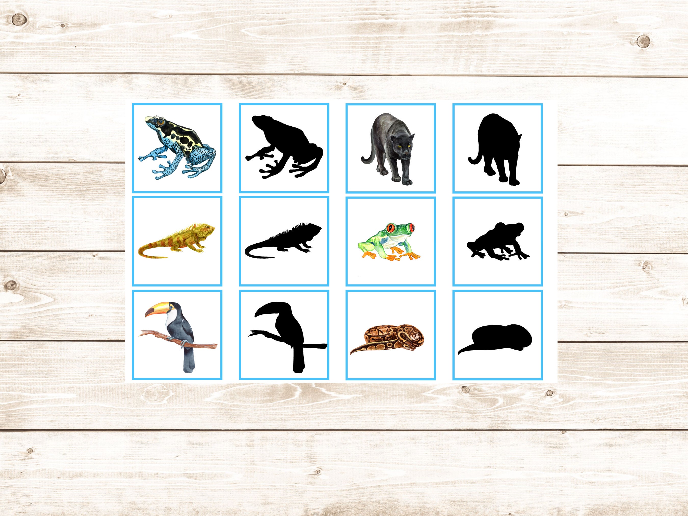 Rainforest Montessori Shadow Matching Cards. Toddler Animal Activity ...