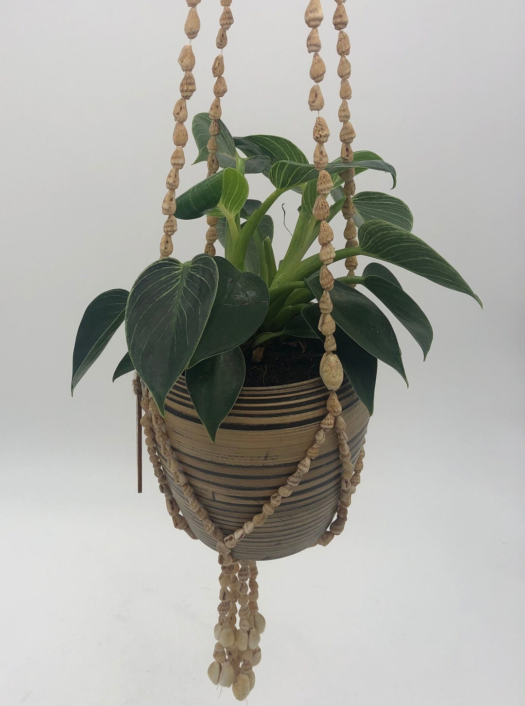 Vintage Shell Hanging Basket Planter Holder - Etsy