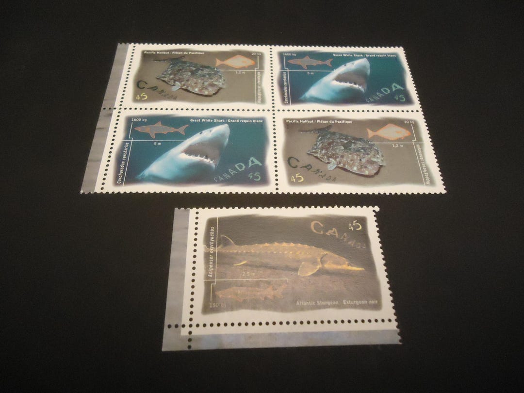 5 Mint Canadian Postage Stamps Ocean Water Fish (1997) 5 X 45 - Etsy