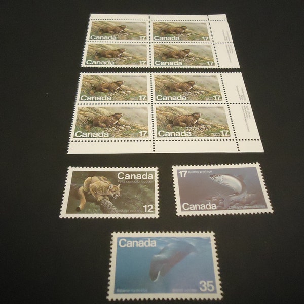 Canadian Wildlife - Etsy