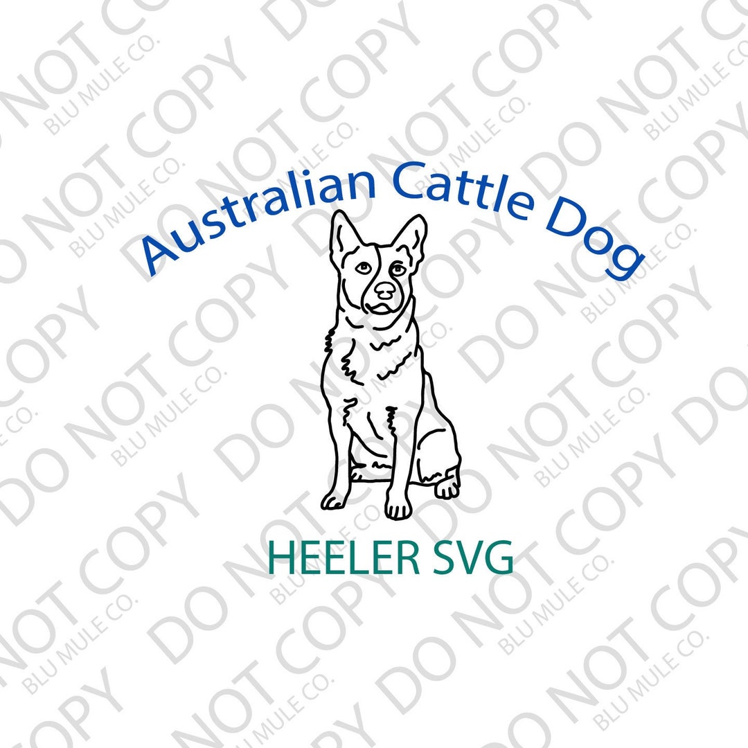 Australian Cattle Dog SVG Heeler SVG Digital Download for Cricut or ...