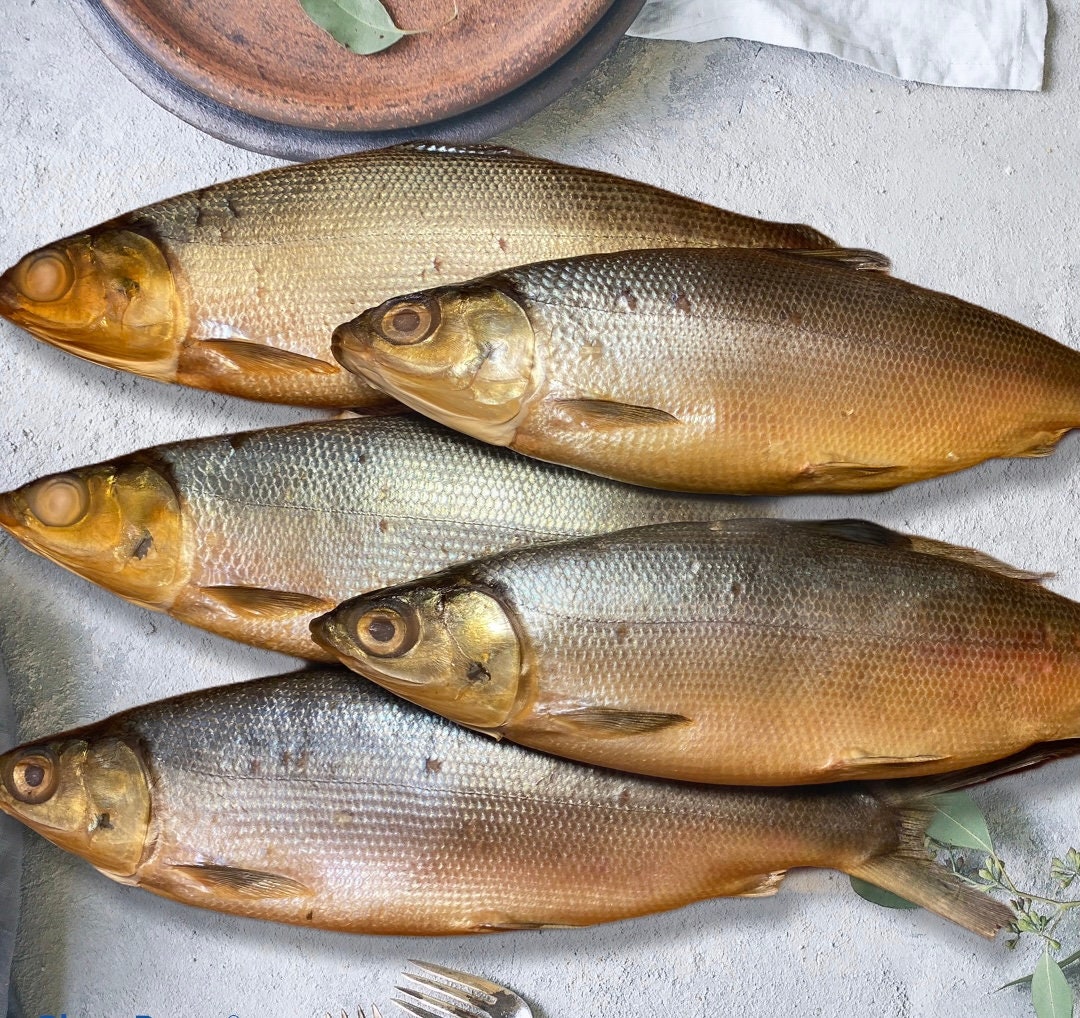 Hot Smoked Milkfish tinapa Bangus - Etsy