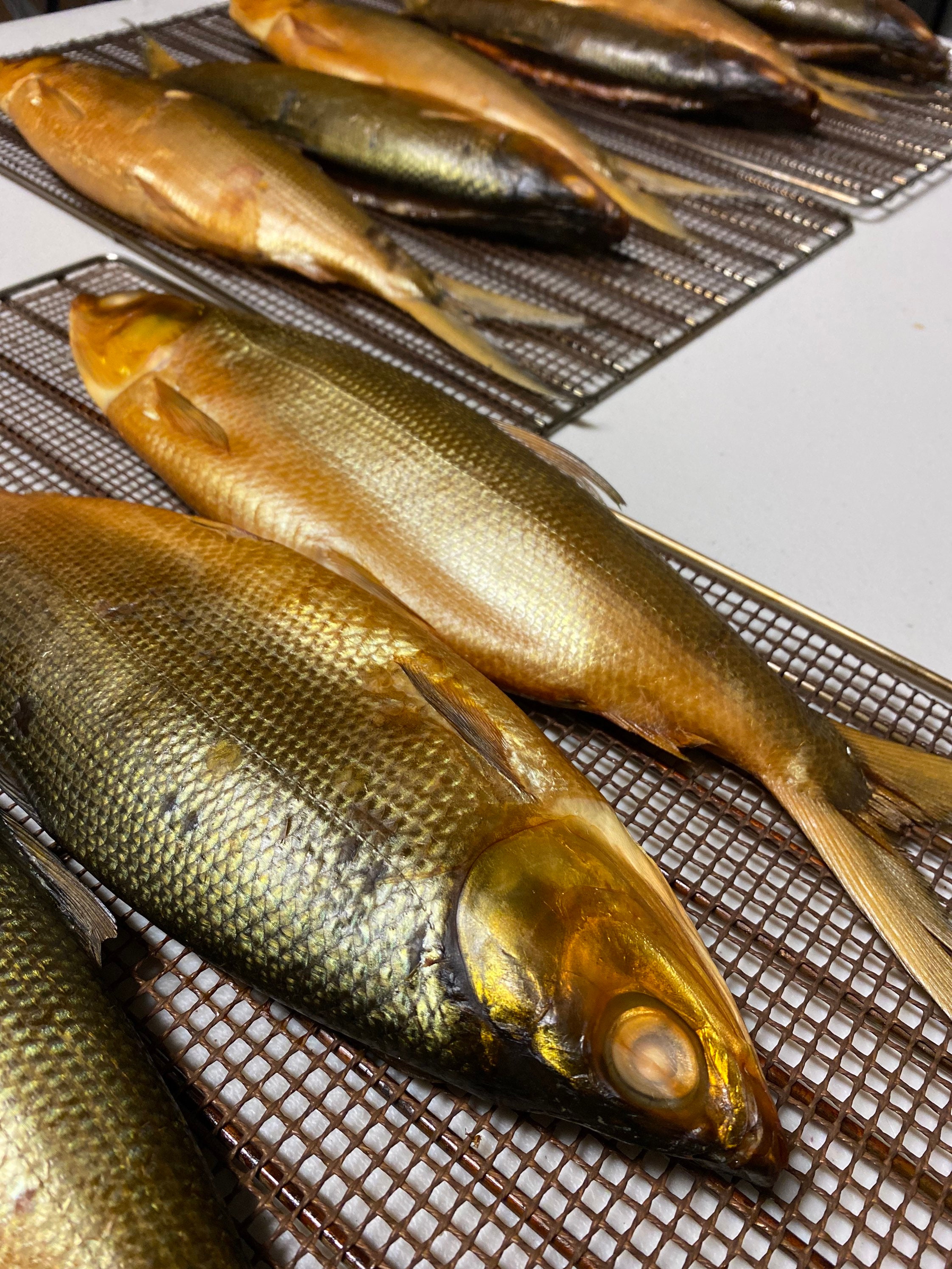 Hot Smoked Milkfish tinapa Bangus - Etsy