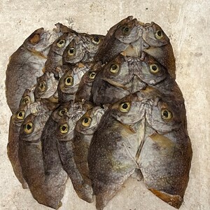 Dried Boneless Rabbitfish/boneless Danggit, Wild Caught, 100g, Product ...