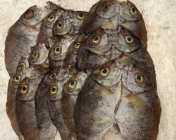 Dried Boneless Rabbitfish/boneless Danggit Wild Caught 100g - Etsy