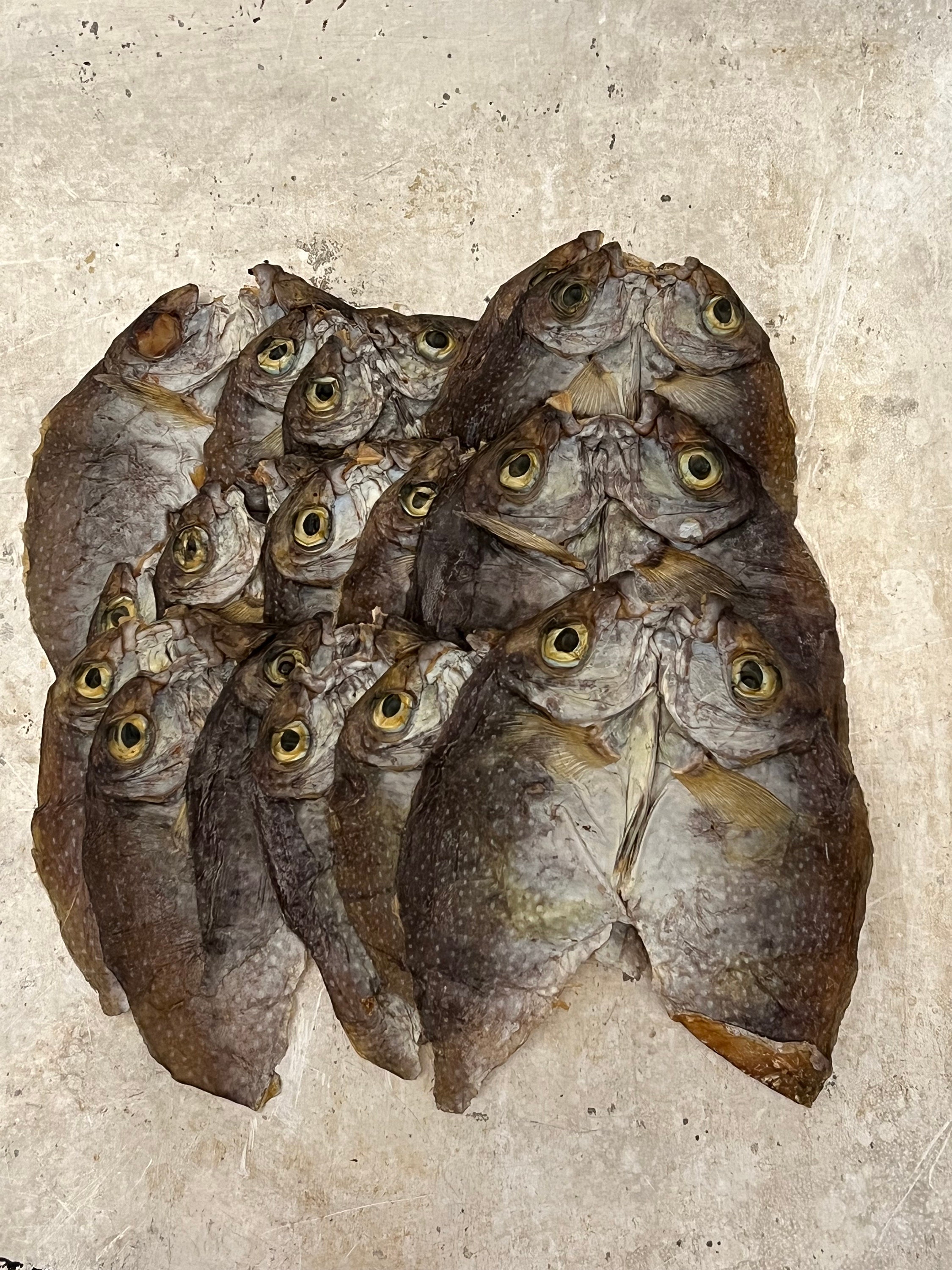 Dried Boneless Rabbitfish/boneless Danggit, Wild Caught, 100g, Product ...