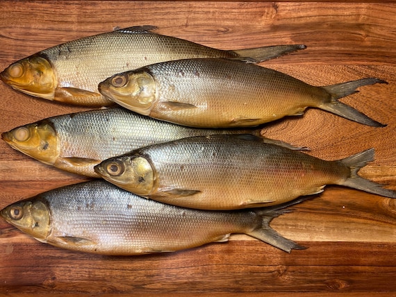 Hot Smoked Milkfish tinapa Bangus | Etsy