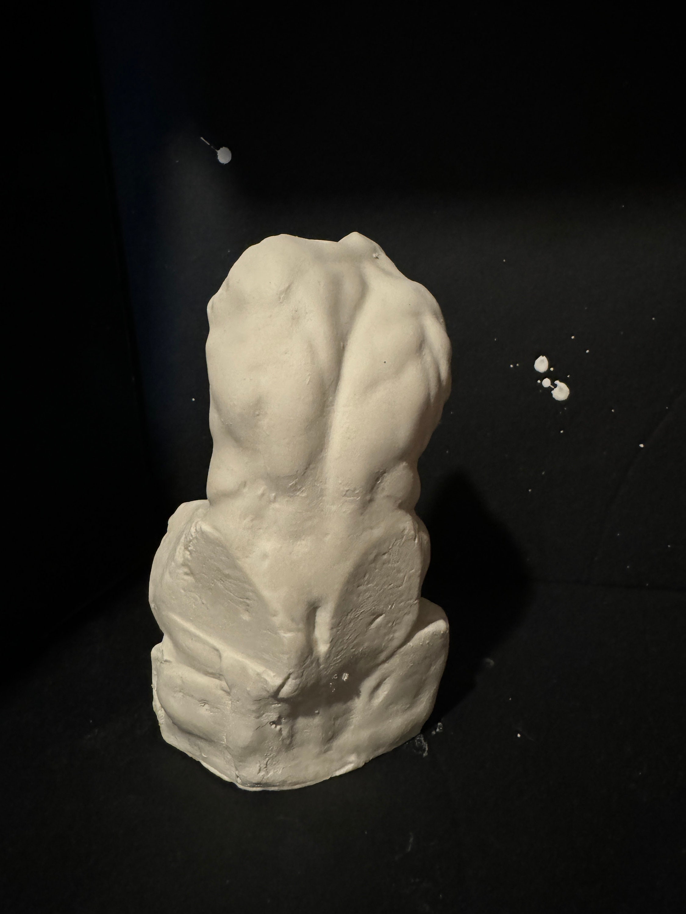 Belvedere Torso Plaster Cast Art Reference, Handmade Sculpture for Artists - Etsy