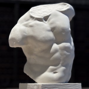 Gaddi Torso Plaster Cast Art Reference, Handmade Sculpture for Artists - Etsy