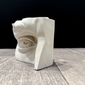 Eye of David Plaster Cast Art Reference, Handmade Sculpture for Artists ...