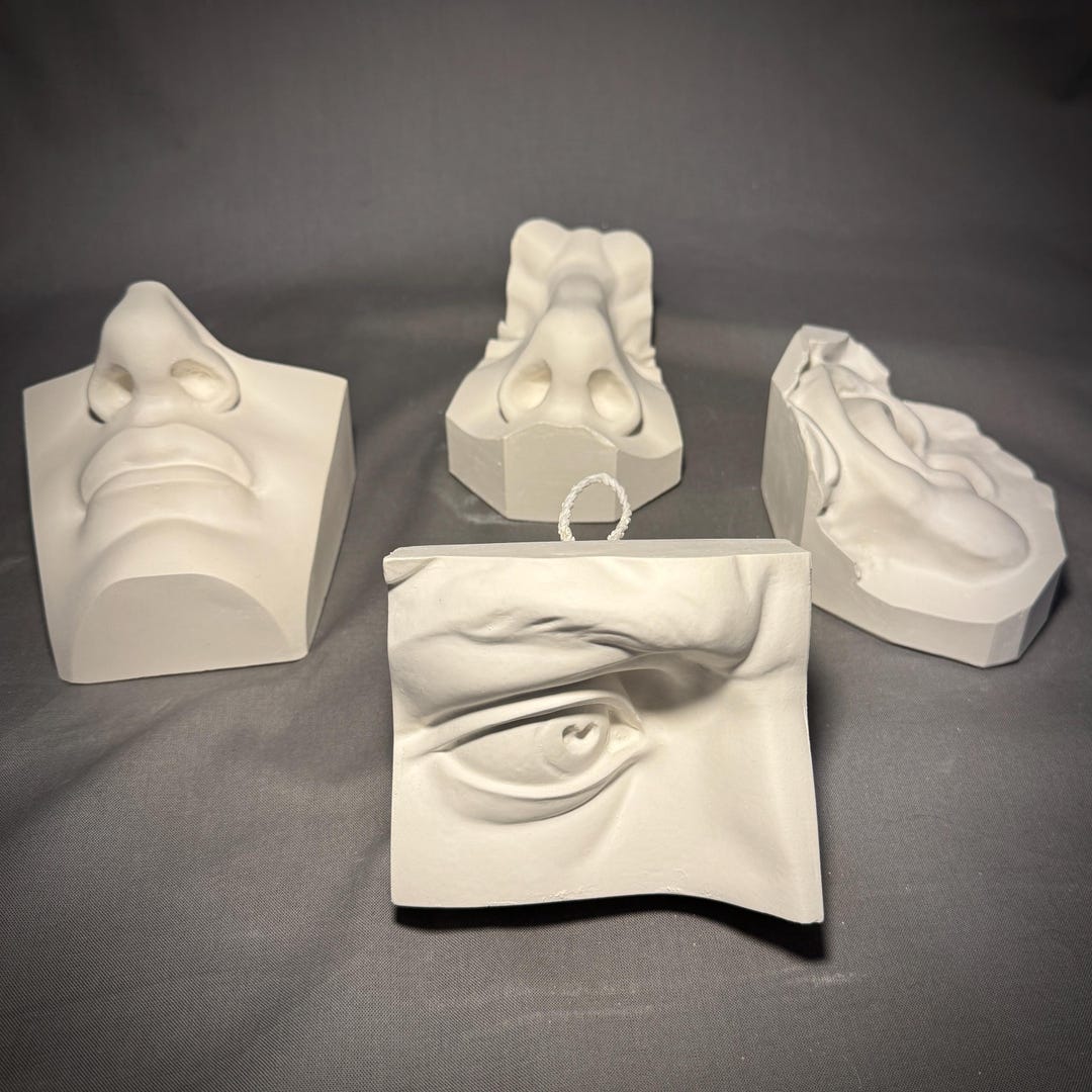 David Study Cast Plaster 4 Piece Set - Etsy