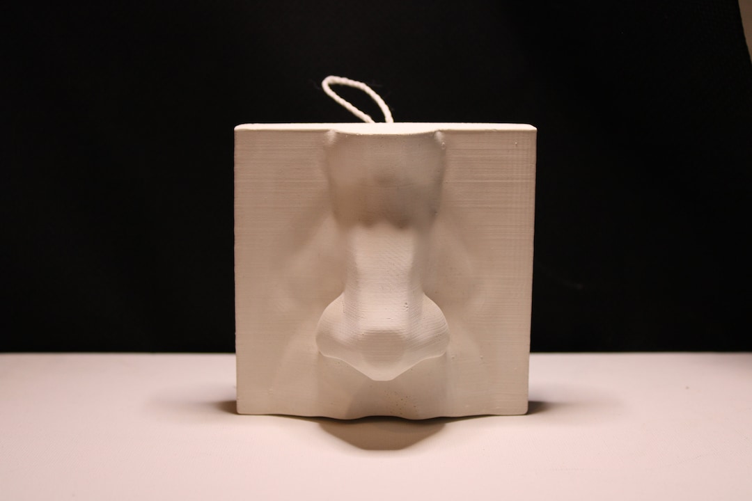 Handcrafted Plaster Cast of Nose, Art Practice, Cast Drawing, Sculpture ...