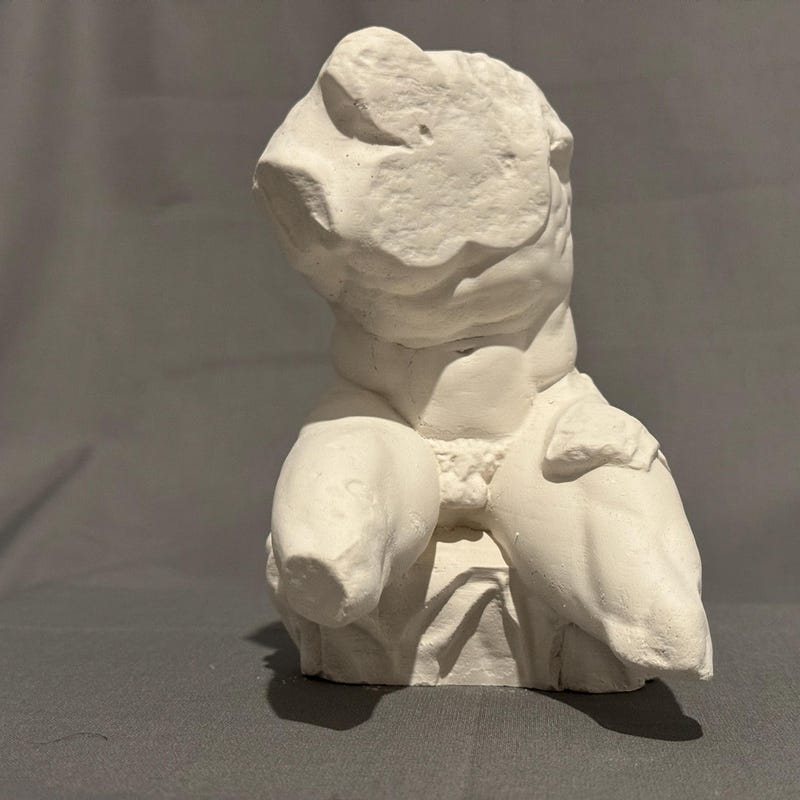 Body Cast Plaster Art - Etsy UK