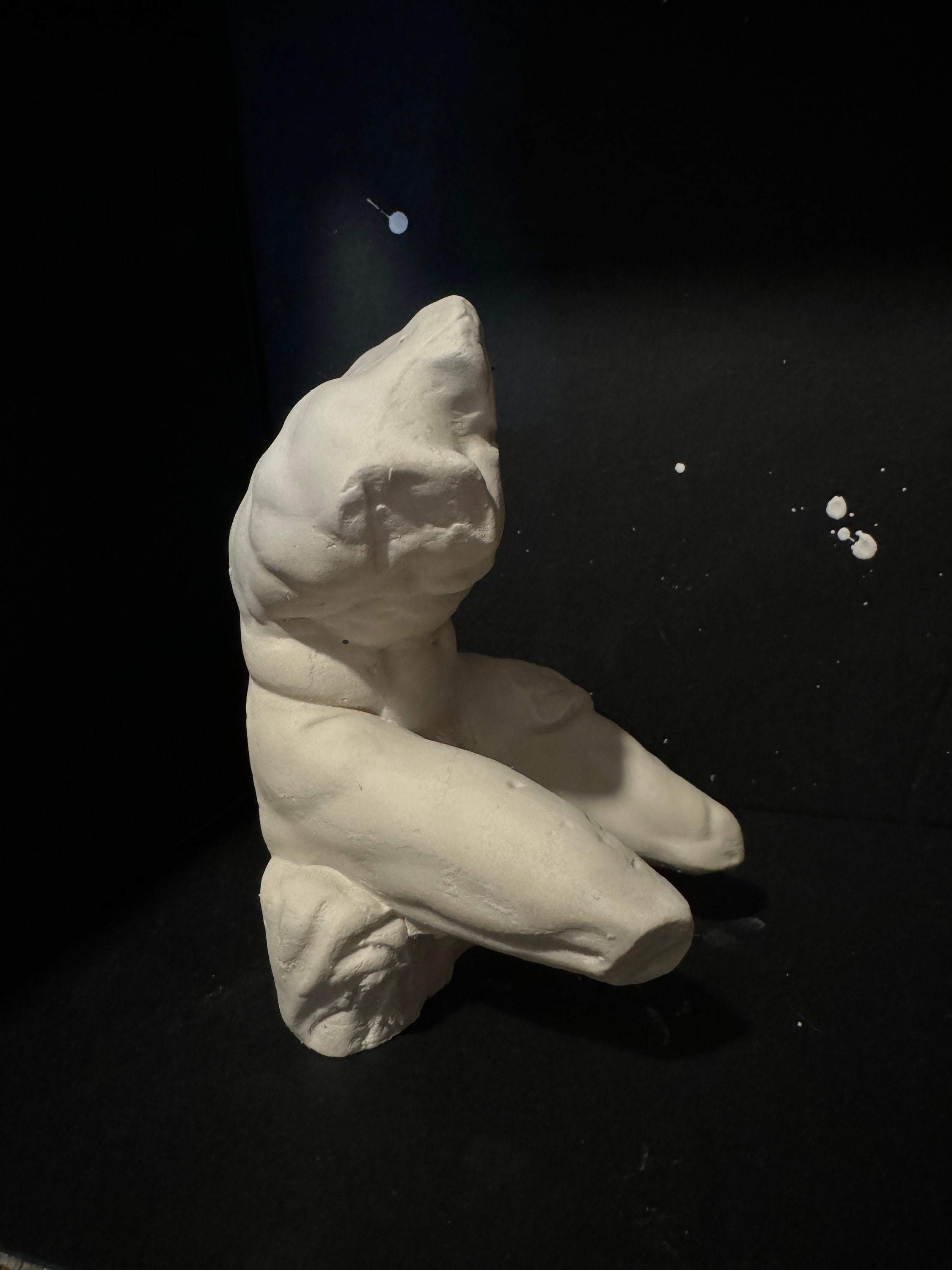 Belvedere Torso Plaster Cast Art Reference, Handmade Sculpture for Artists - Etsy