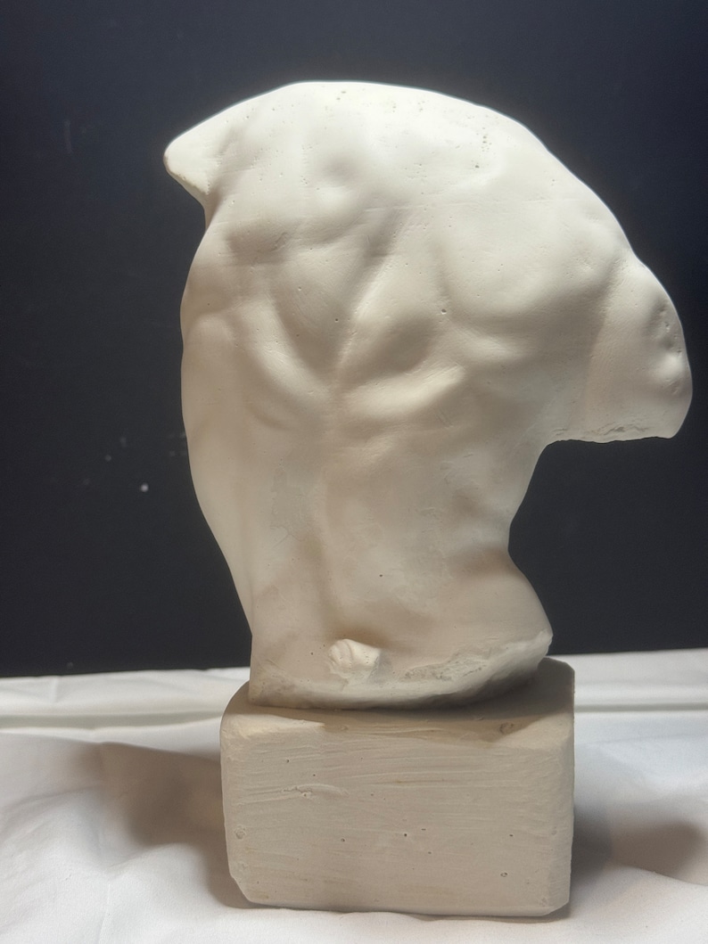 Gaddi Torso Plaster Cast Art Reference, Handmade Sculpture for Artists - Etsy